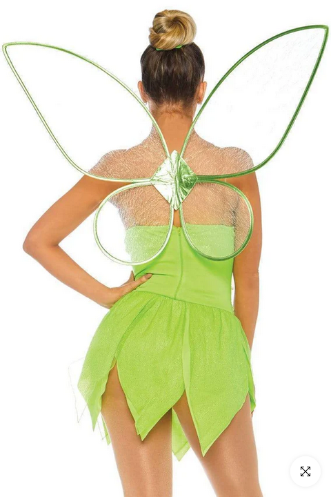 Pretty Pixie Adult Costume