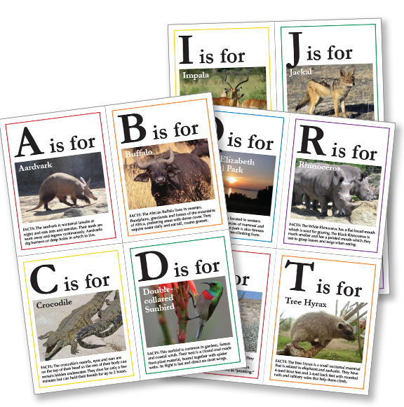 African Animal Flashcards: A4