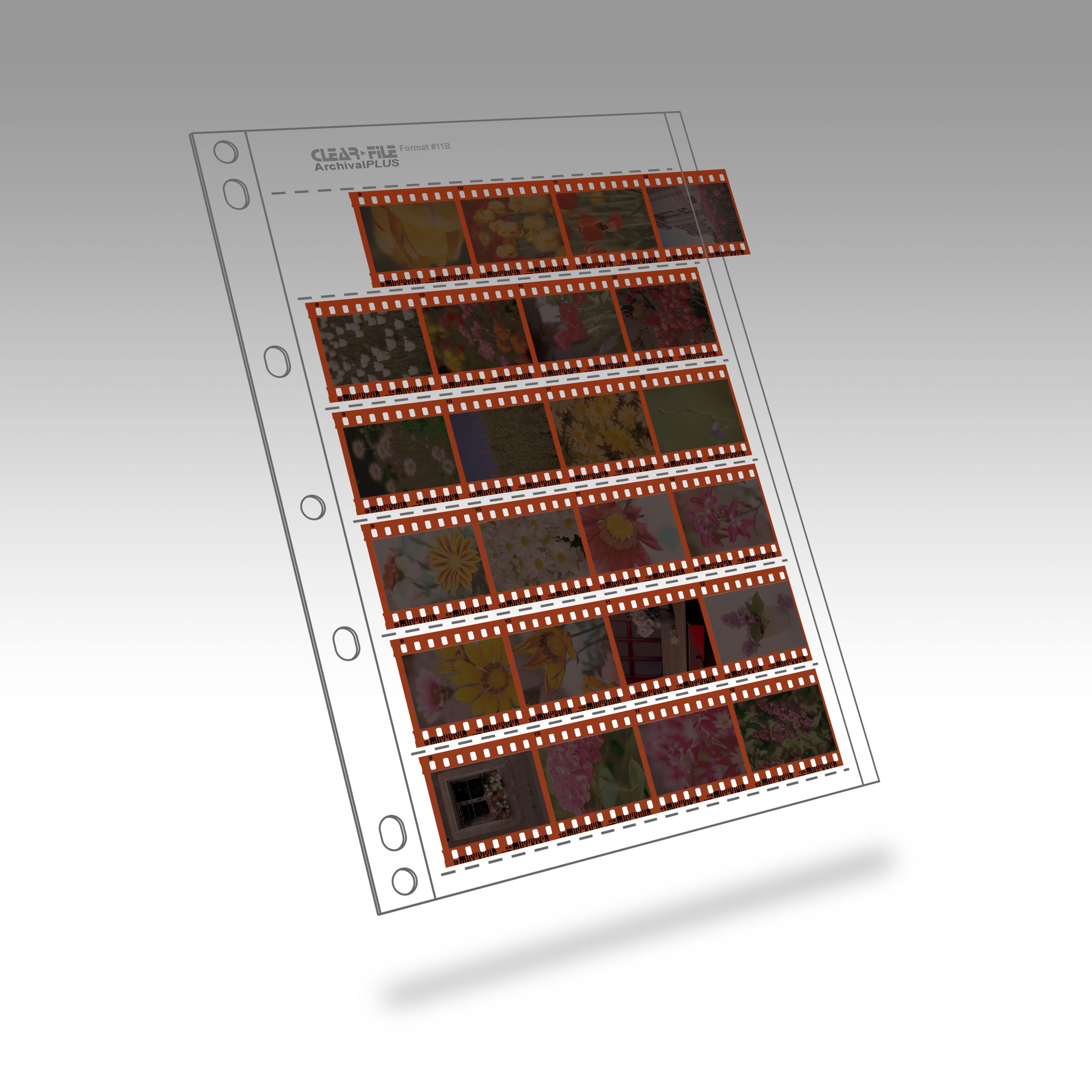35mm Negative Archival Sheets | Revive Studios