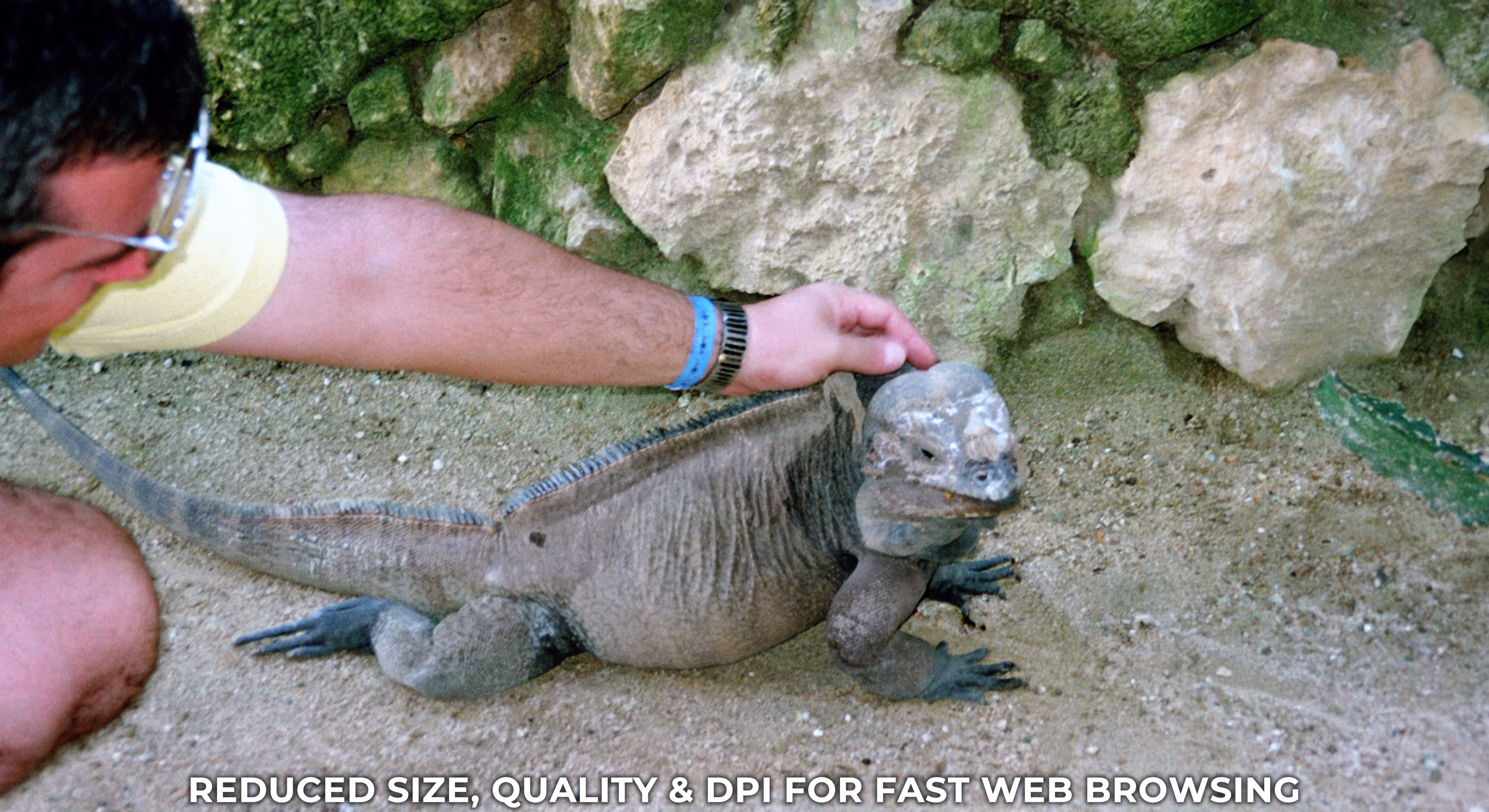 APS Scanning Service (1-9 Films) | Revive Studios