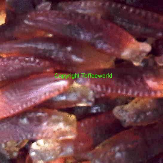 Stockleys Slugs Jelly Gummy Novelty Sweets