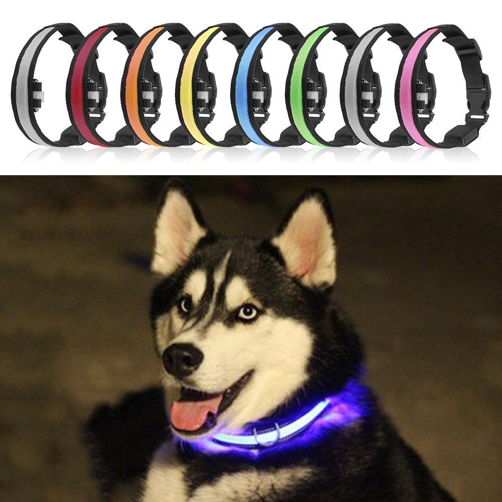 LED FLASHING COLLAR CHOICE OF COLOURS & SIZES
