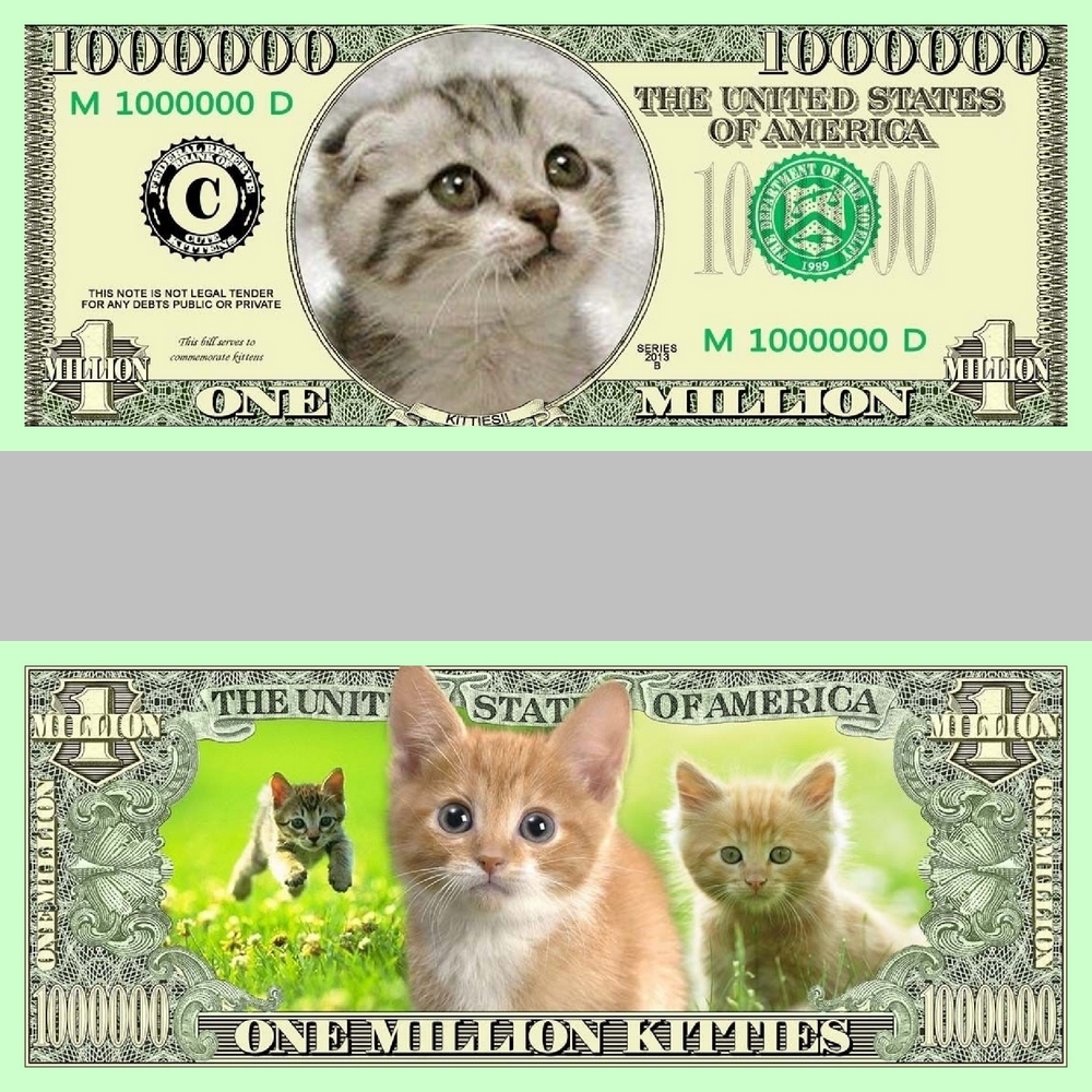*CAT* 1 Million Kitties Novelty paper banknote
