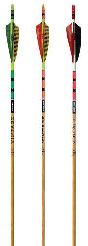 Black Eagle VINTAGE Arrows