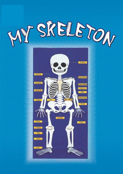 Skeleton Chart