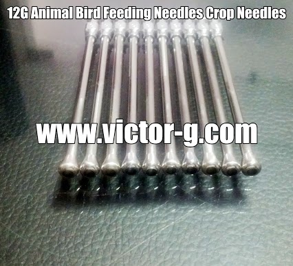 Animal Feeding Needles, Crop Needles, Oral Gavage Needles