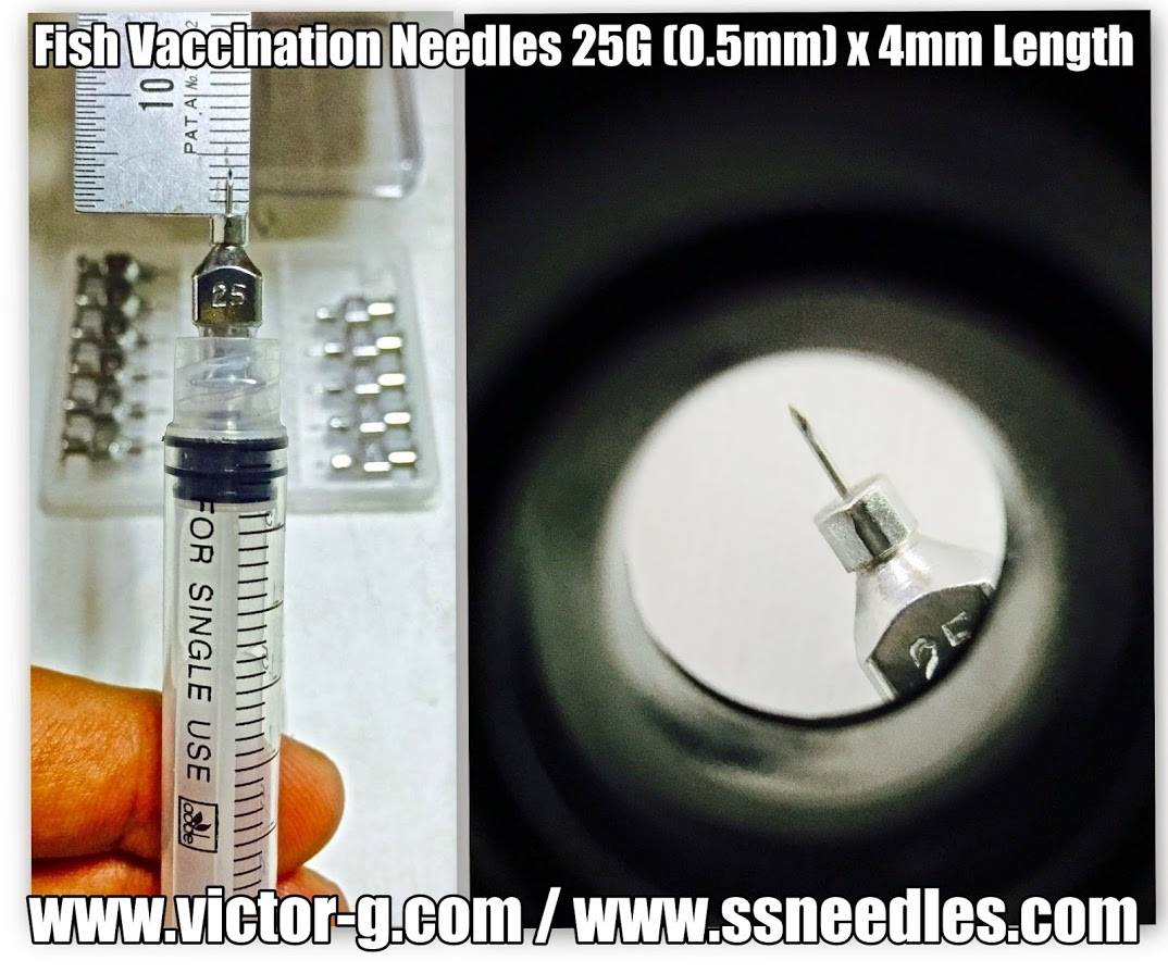 Fish Vaccination Needles