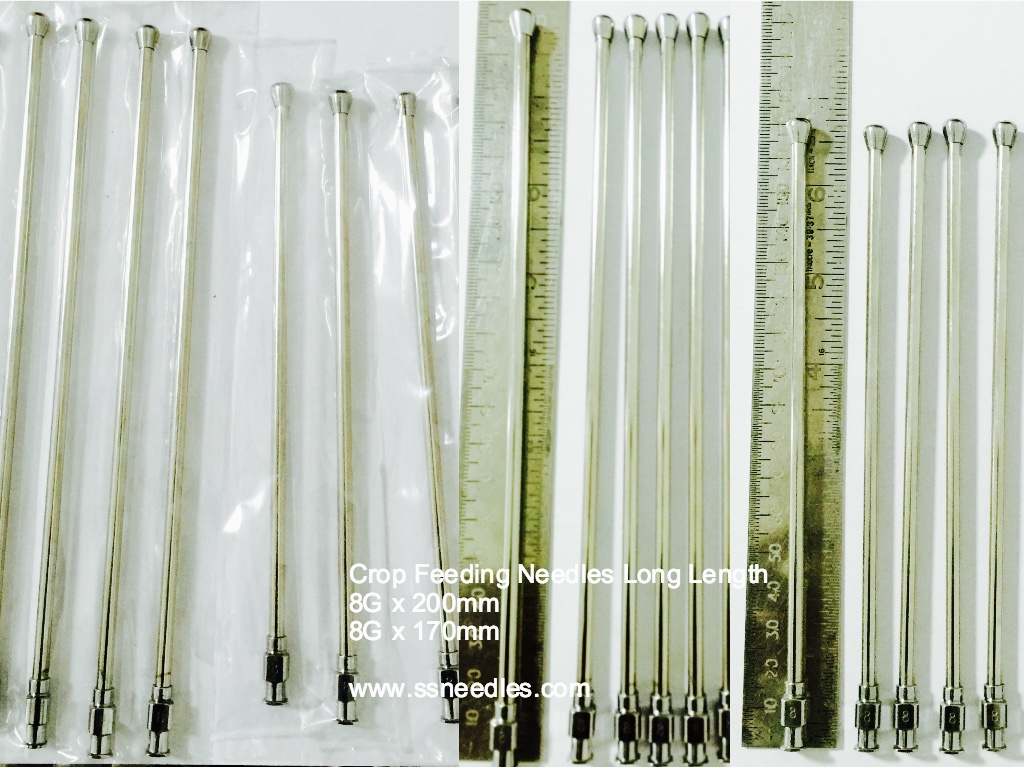 Long Length Feeding Needles Straight and Curved