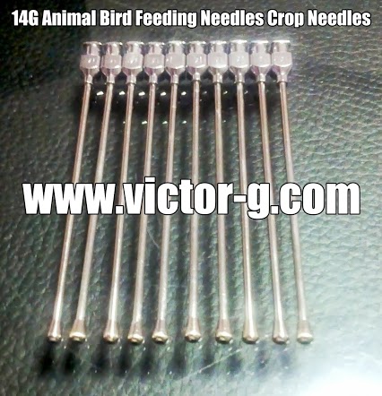 Animal Feeding Needles, Crop Needles, Oral Gavage Needles