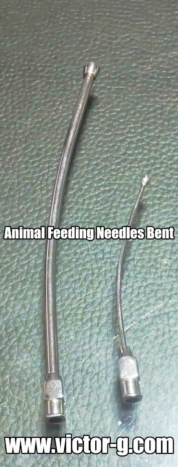Animal Feeding Needles, Crop Needles, Oral Gavage Needles