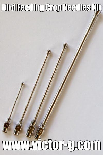 Animal Feeding Needles, Crop Needles, Oral Gavage Needles