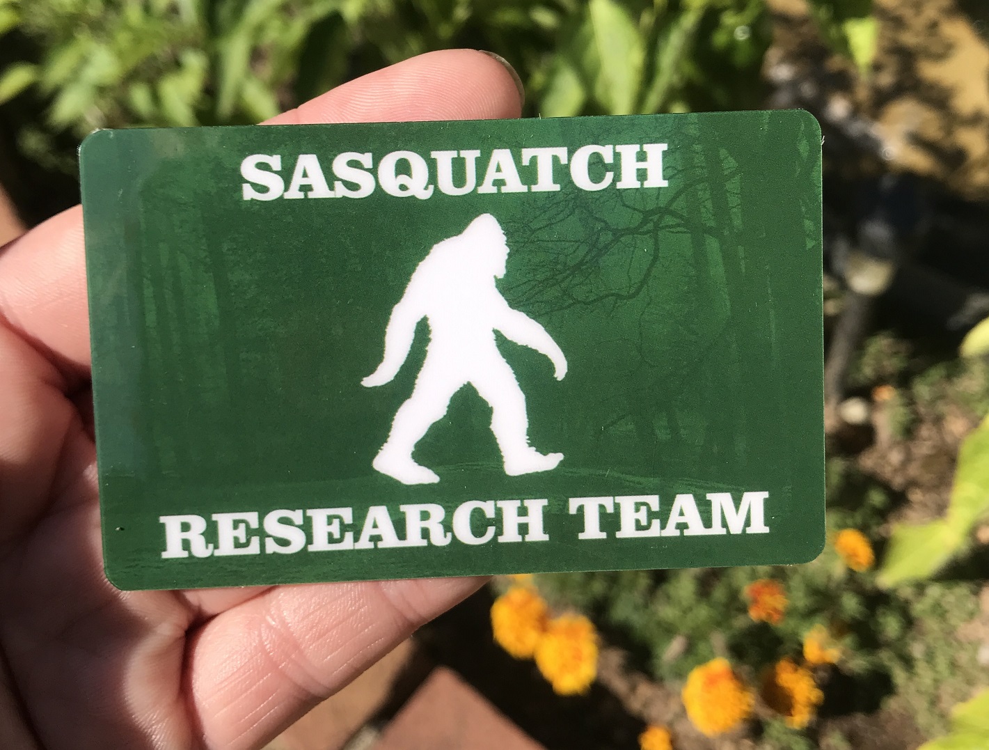 Sasquatch Research Team Card / Fun Gifts for Kids / Gifts for Kids ...