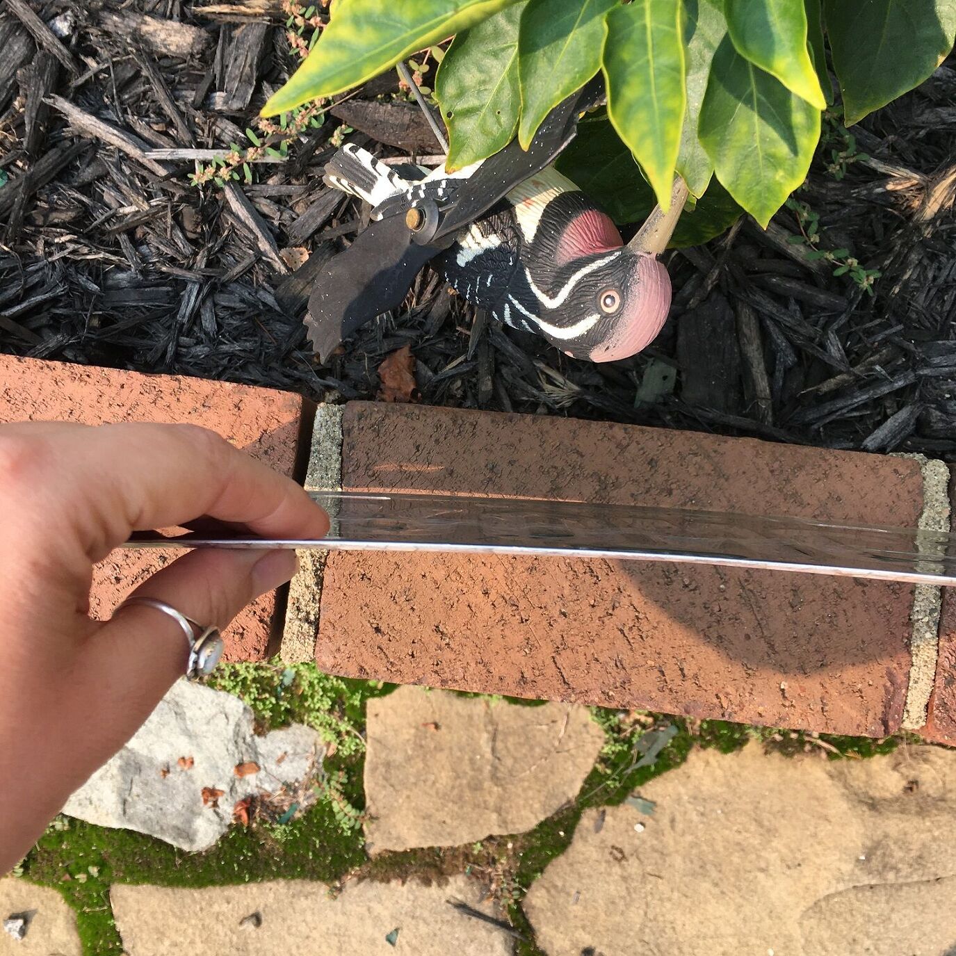 Ford Bronco License Plates / Ford Vanity Plate / Aluminum Ford Bronco ...