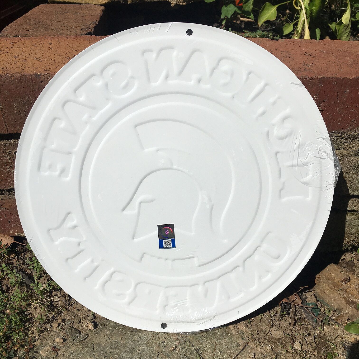 Michigan State University Signs / MSU Spartans / MSU Signs / East ...