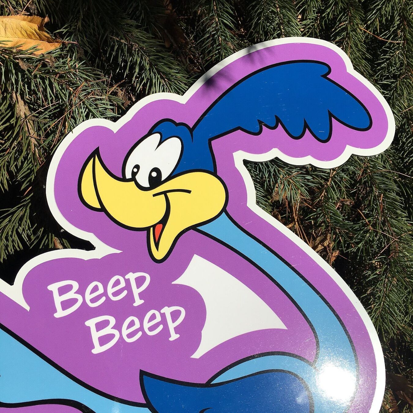 Road Runner Sign / Road Runner Signs / Outdoor Signs / Garage Signs for ...