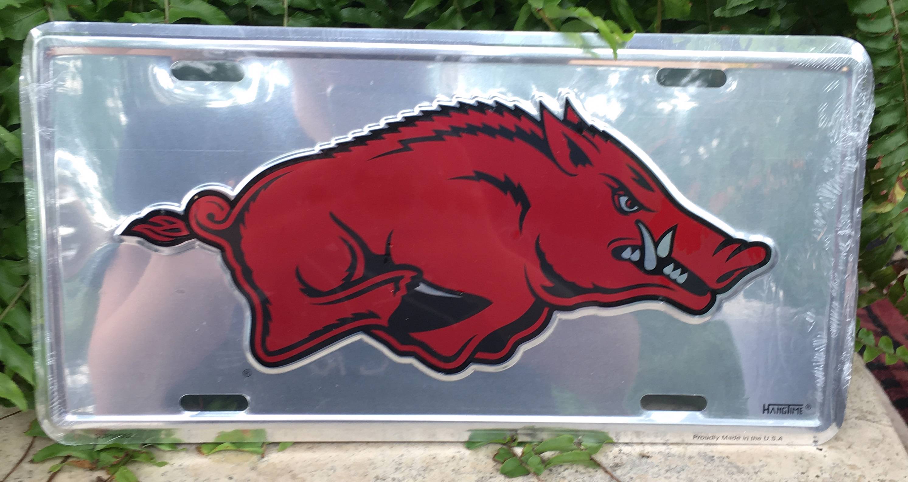 Arkansas Razorbacks License Plate / University of Arkansas Vanity Plates