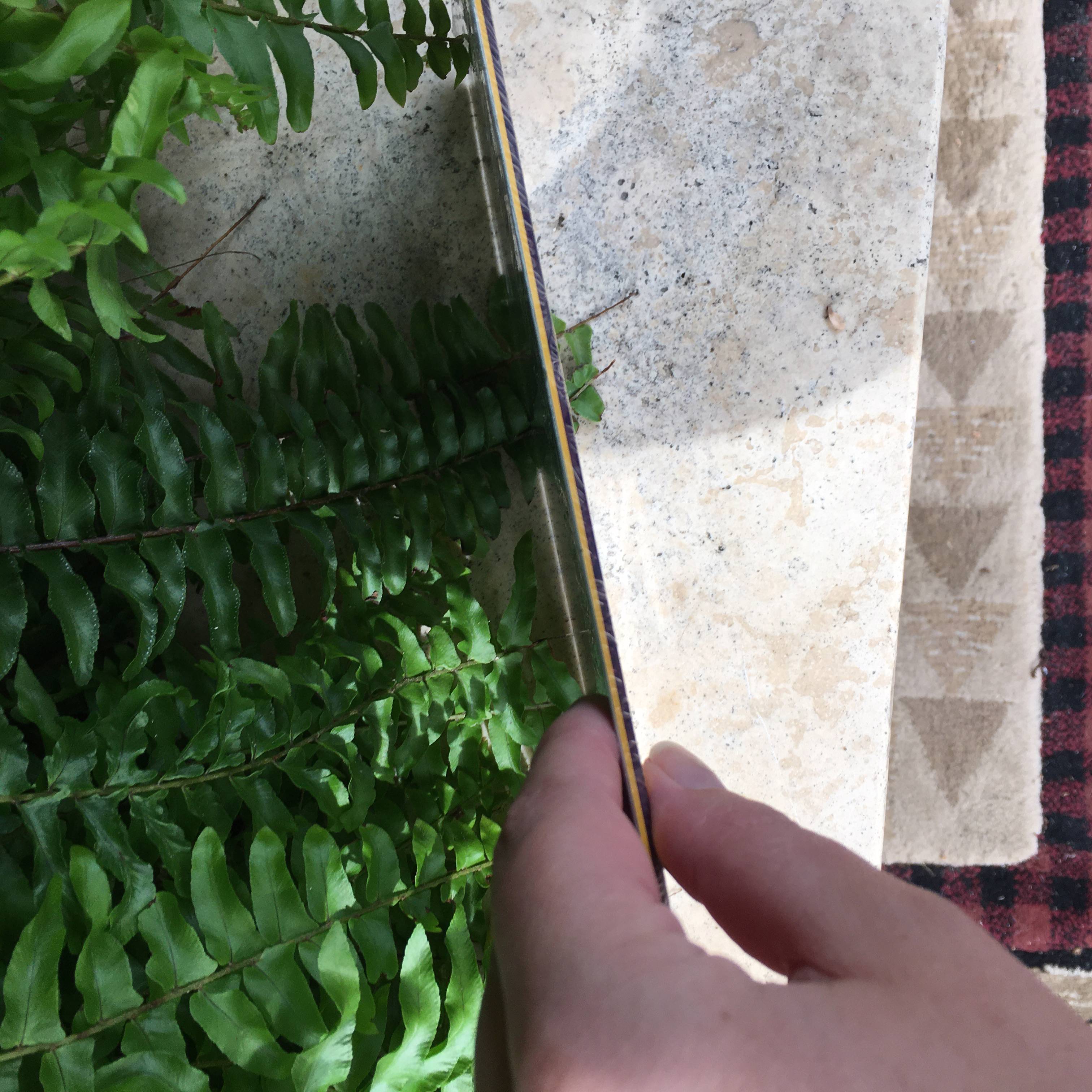 University of Michigan License Plate / Wolverines Go Blue Vanity Plates