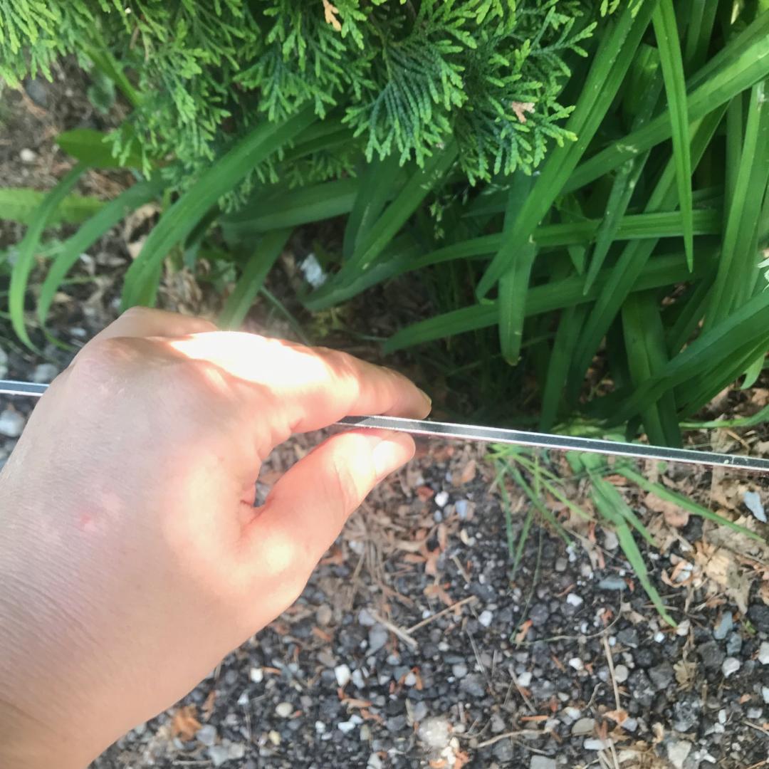 Colt Sign / Man Cave Signs / Colt Signs