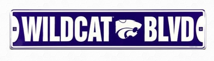 Wildcat Blvd Street Sign / Arizona University Road Signs