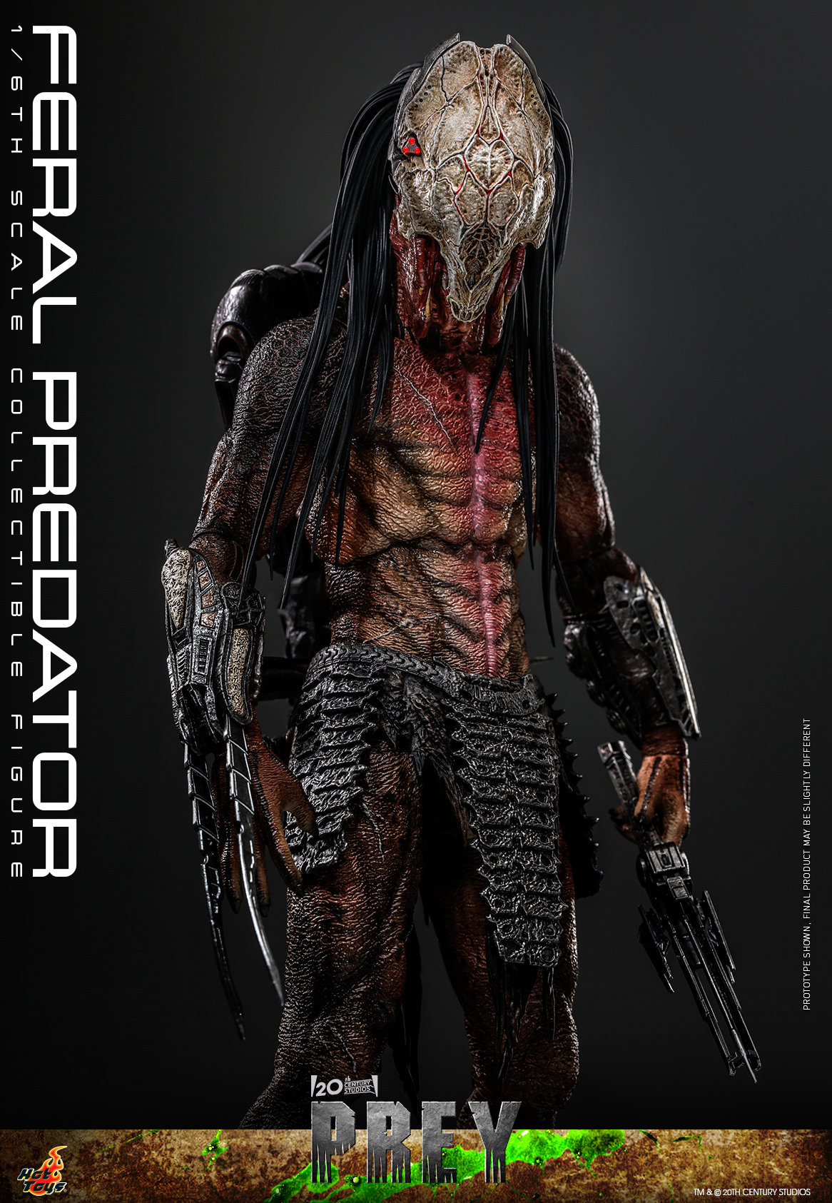 Hot Toys - Prey - 1/6th Scale Feral Predator Collectable FigurePredator