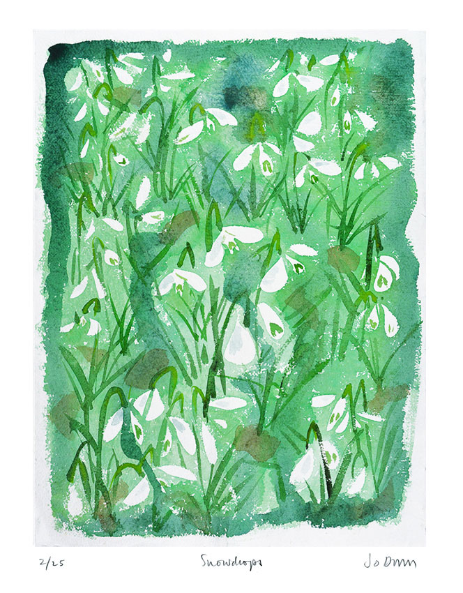 Snowdrops - print