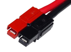 Dual Channel Digital Dew Controller