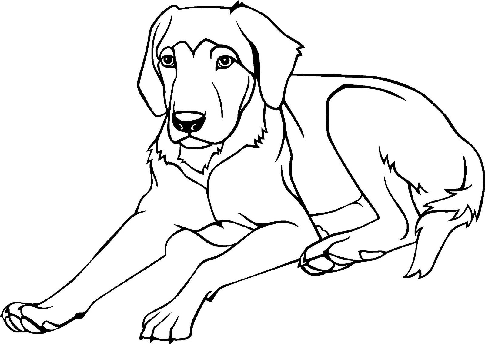 Labrador Retriever Breed Dog Wall Sticker Wall Art Decor Vinyl Decal Murals