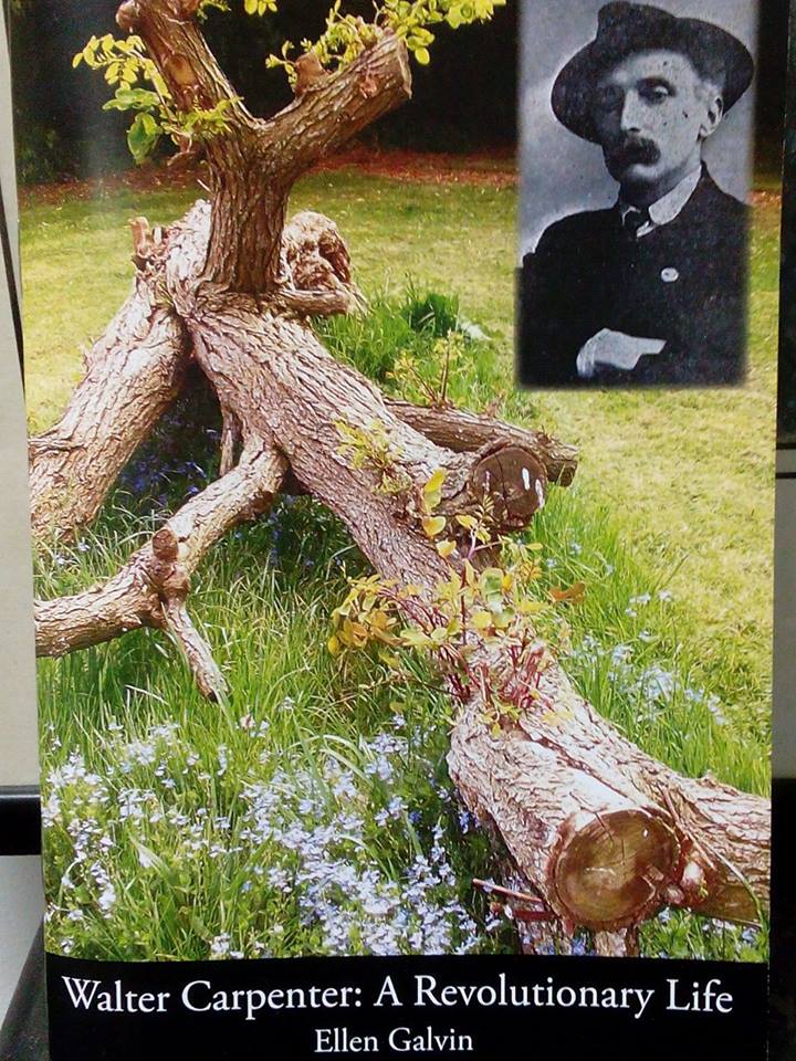 Walter Carpenter: A Revolutionary Life by Ellen Galvin