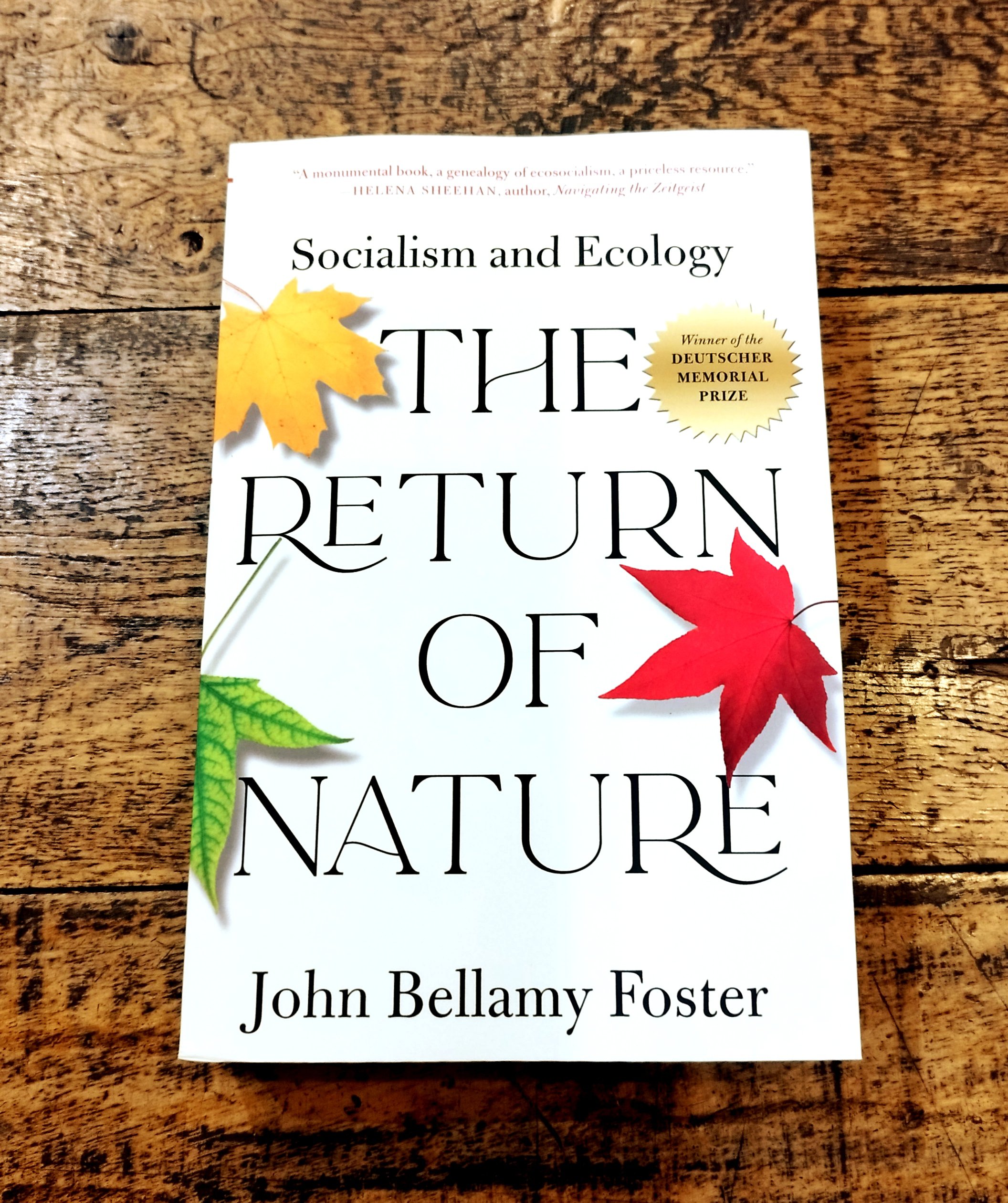 The Return Of Nature