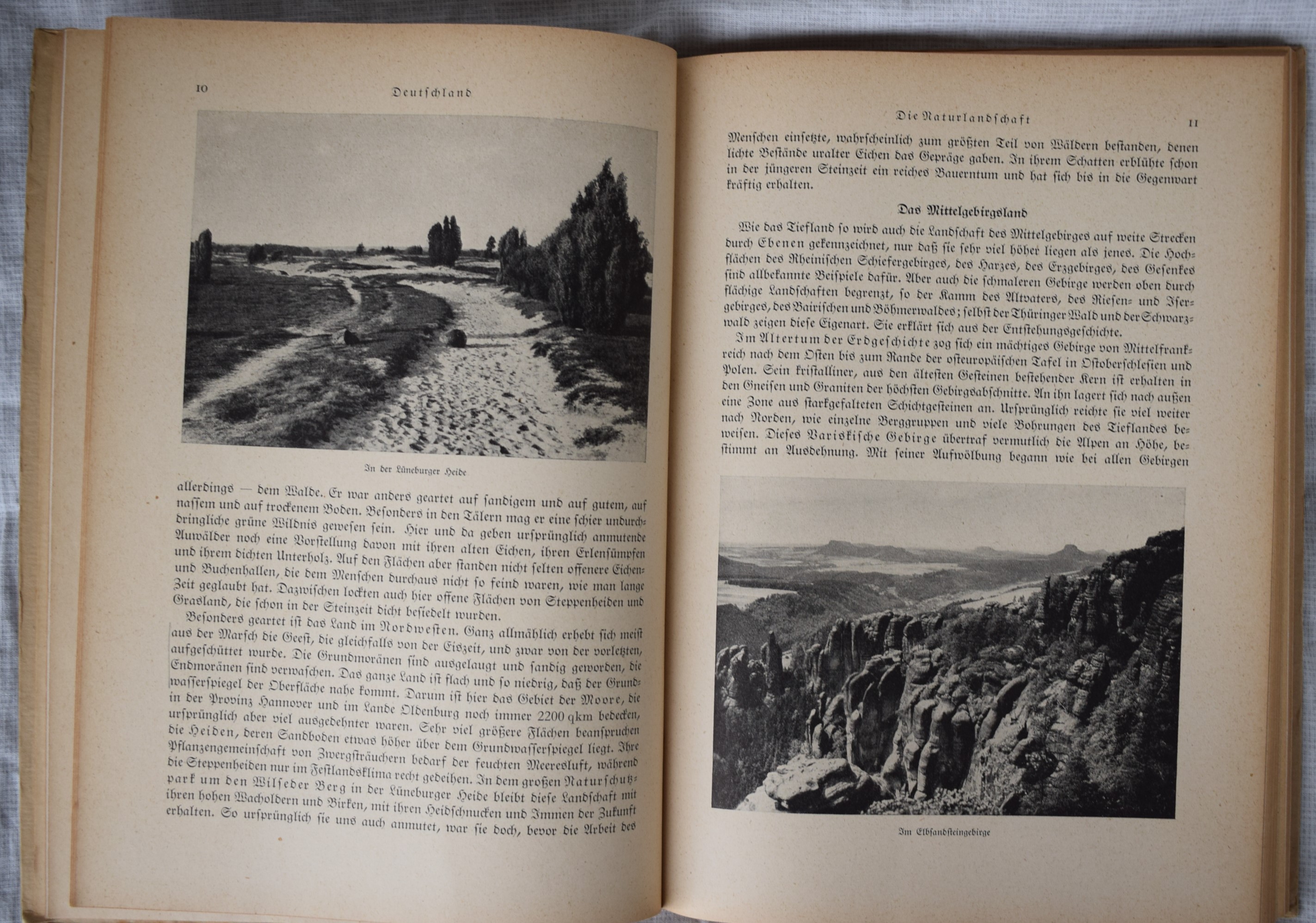 Nazi school book Homeland and World 8th volume