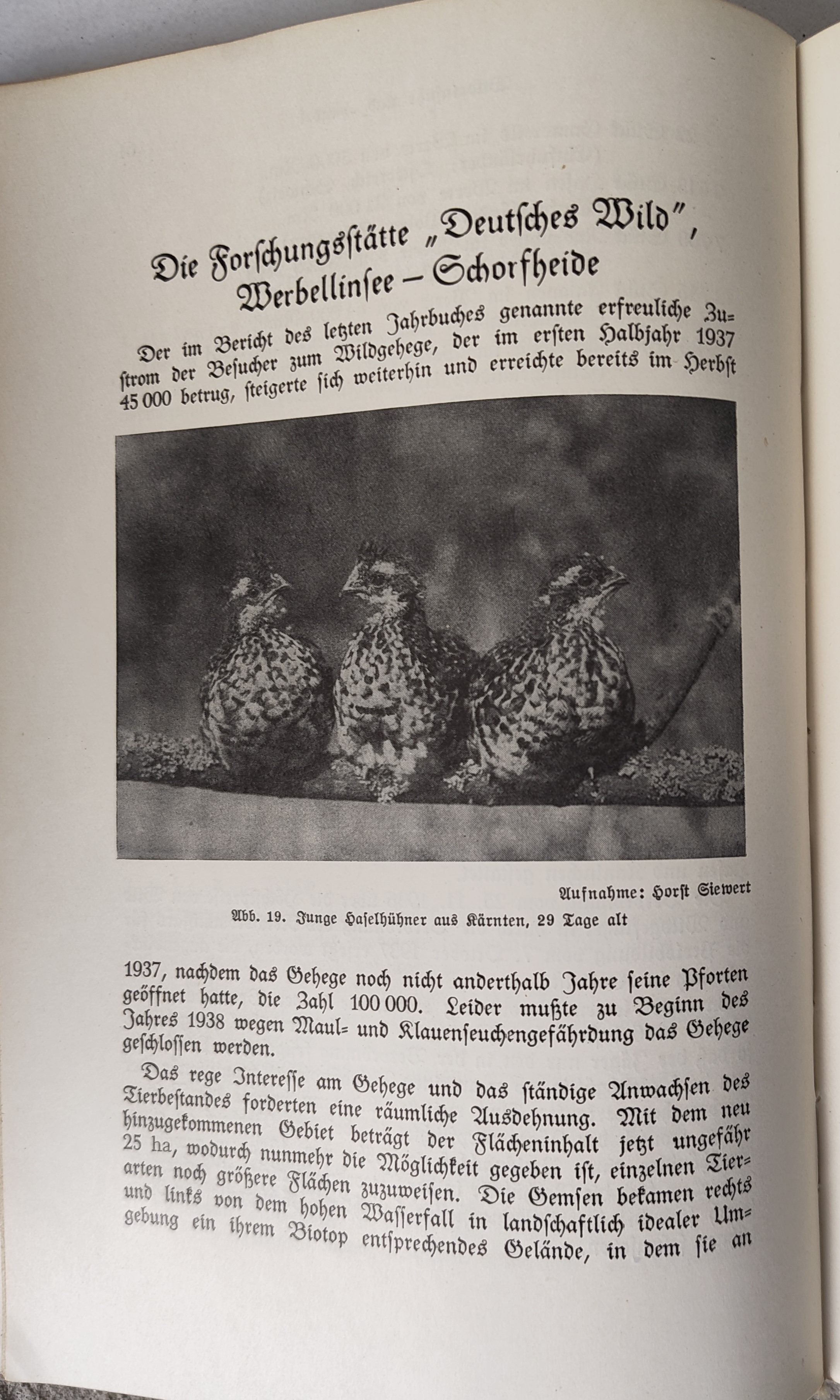 Original Nazi hunting organization yearbook 1937/38