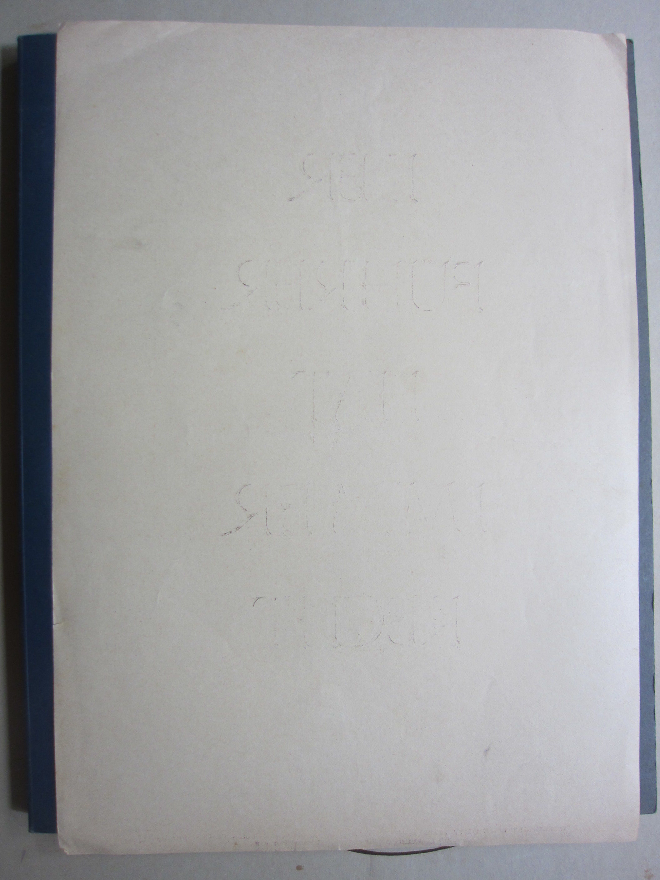 11 original NSDAP weekly nazi propaganda posters