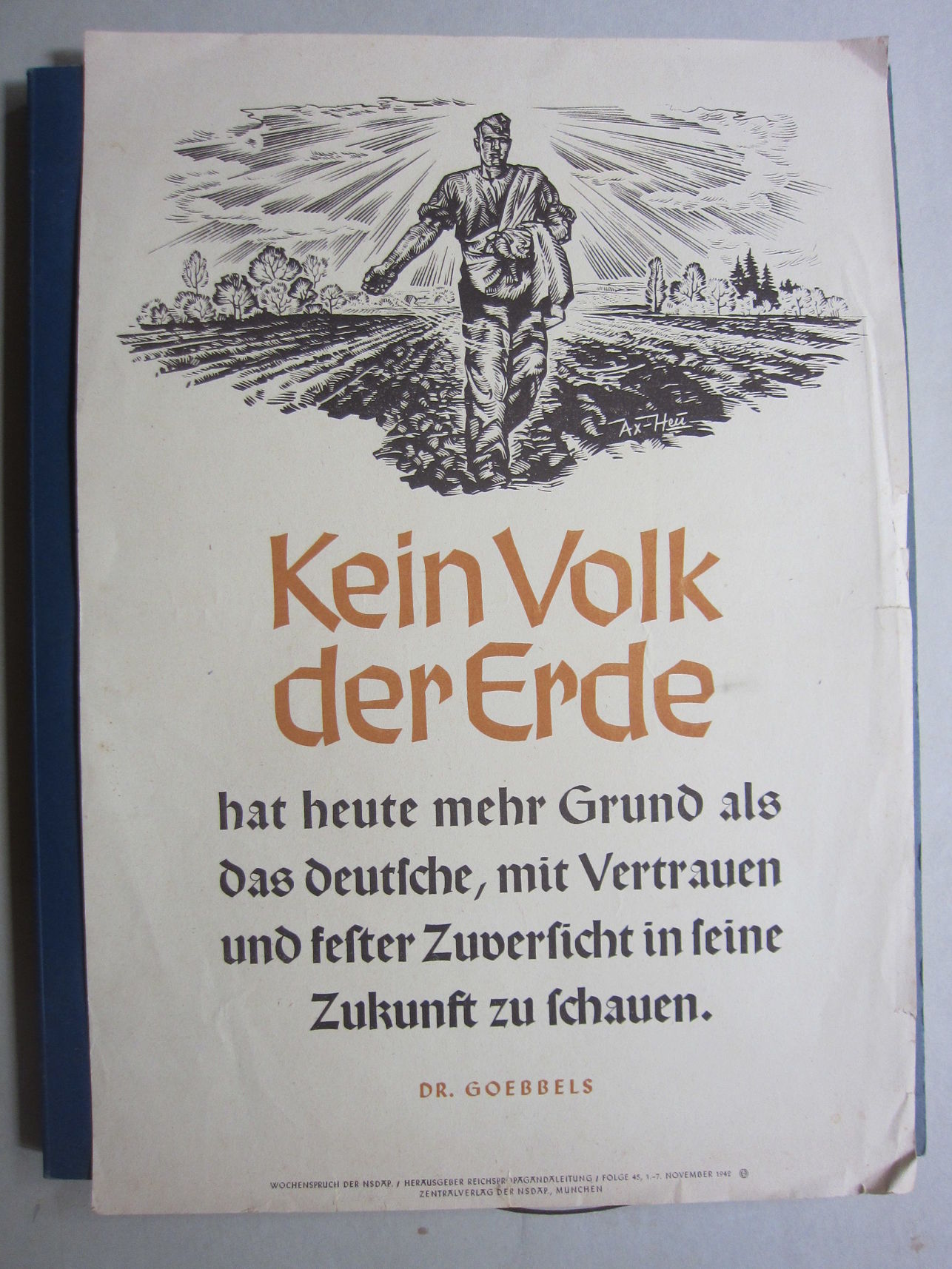 11 original NSDAP weekly nazi propaganda posters