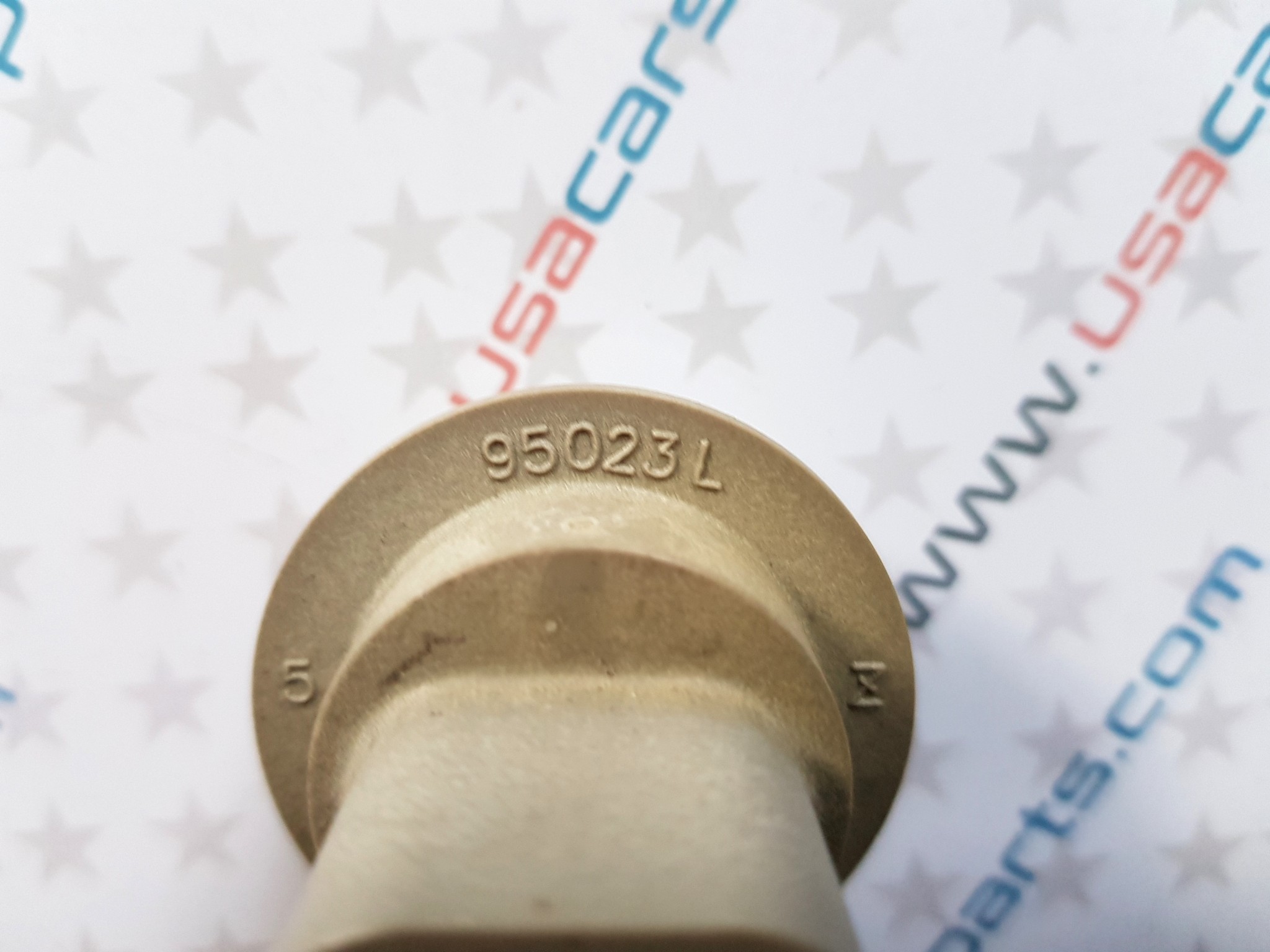 Priekinio žibinto posūkio lemputės lizdas, cokolis, "fiškė", DEŠINĖ ...