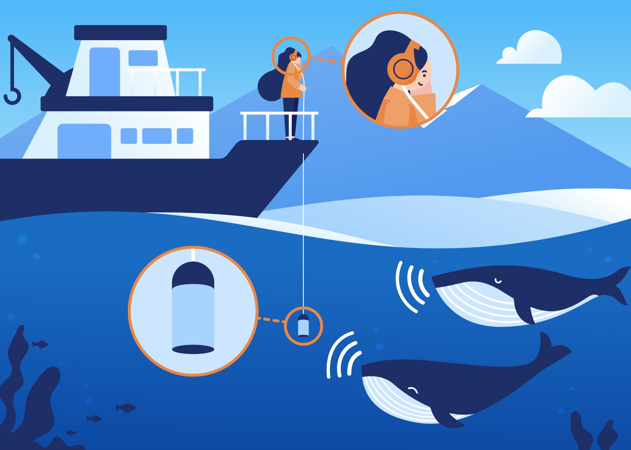 Hydrophone Under Water Sound Recording | Hydrophone For Sale