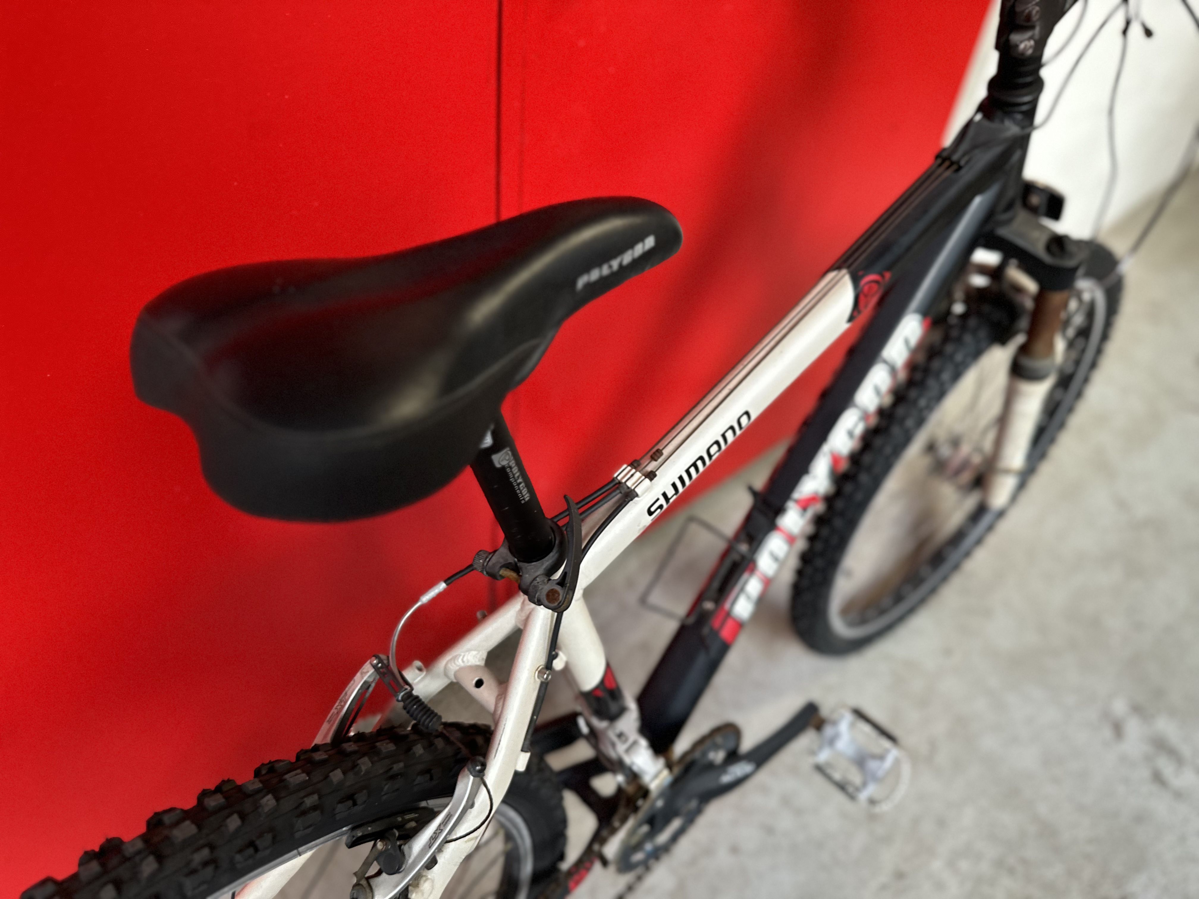 Polygon Hardtail (S)