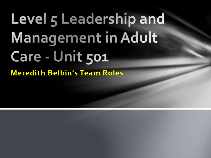 Belbin Team Roles Teaching'Training Resources