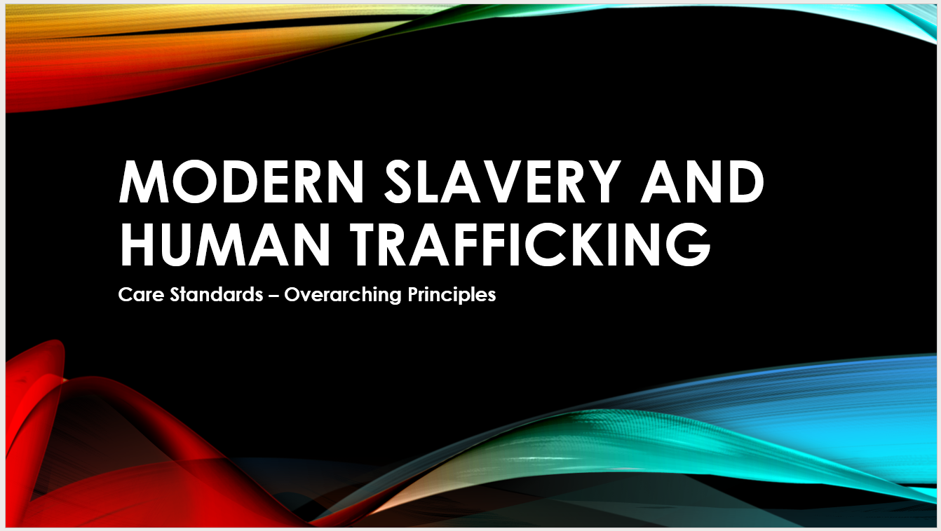 Modern Slavery Trafficking Care Standards Overarching Principles