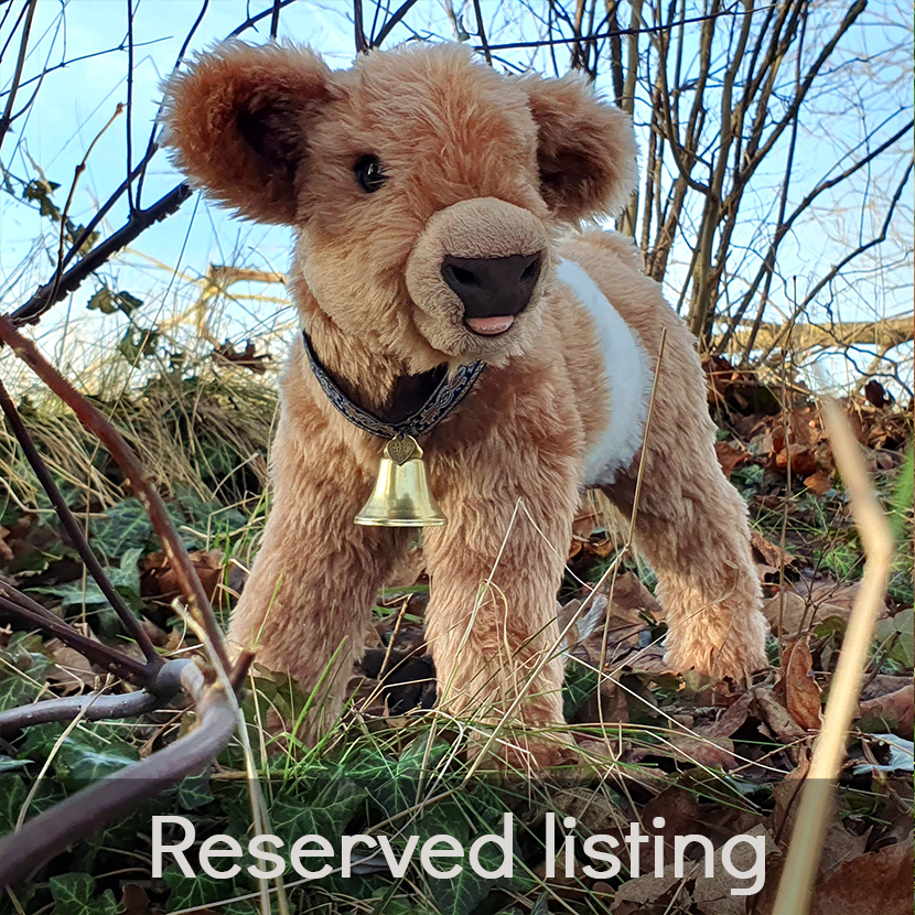 Custom calf commission