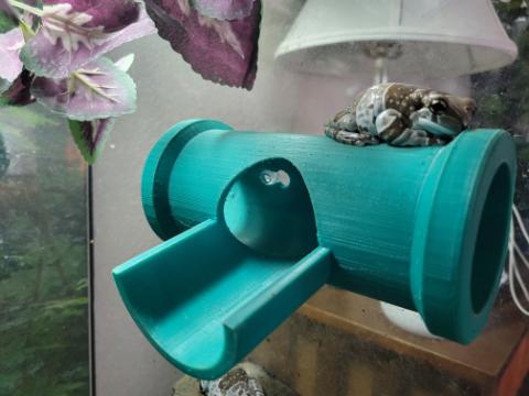 3D Printed Frog Hide