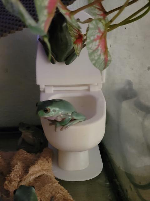 3D Printed Ball Python