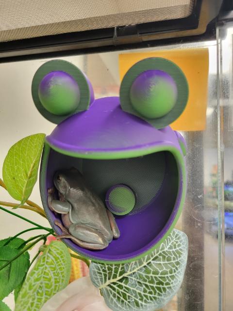 3D Printed Frog Hide