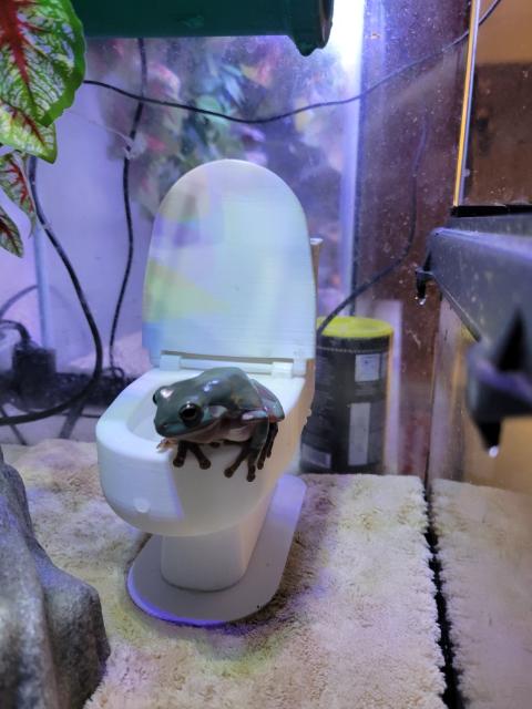 3D Printed Ball Python