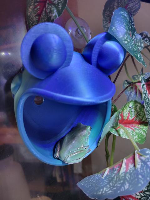 3D Printed Frog Hide