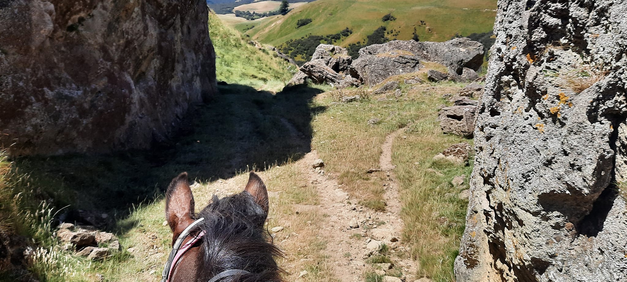 How close to the cliff edge is your horse???