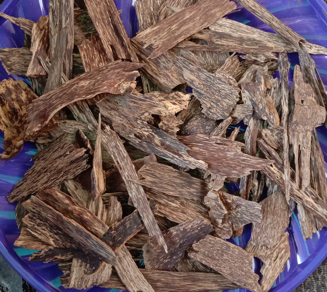 Agarwood Oud Oudh Sumatra Riau