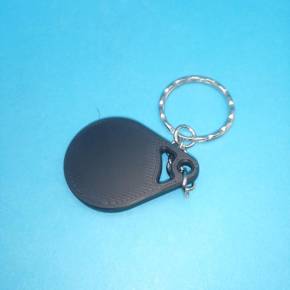Portal key fob