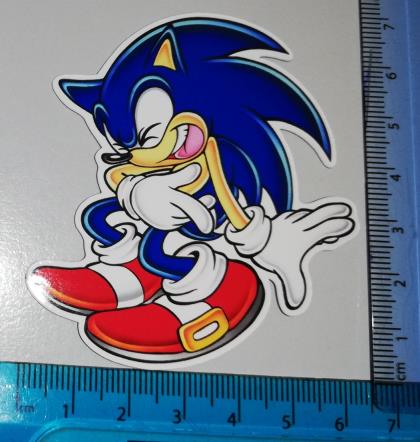 Sonic the Hedgehog magnets