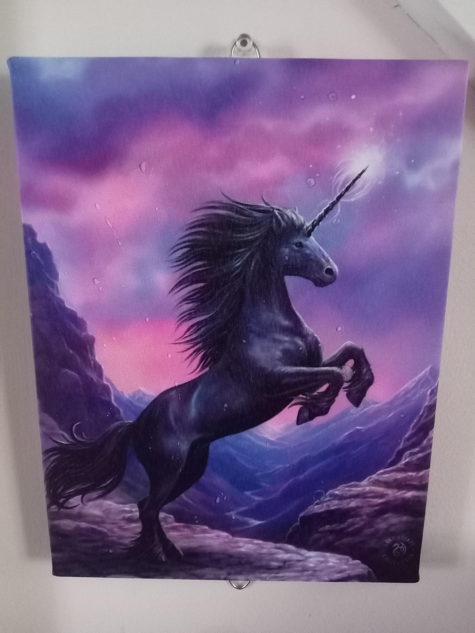 Black Unicorn by Anne Stokes