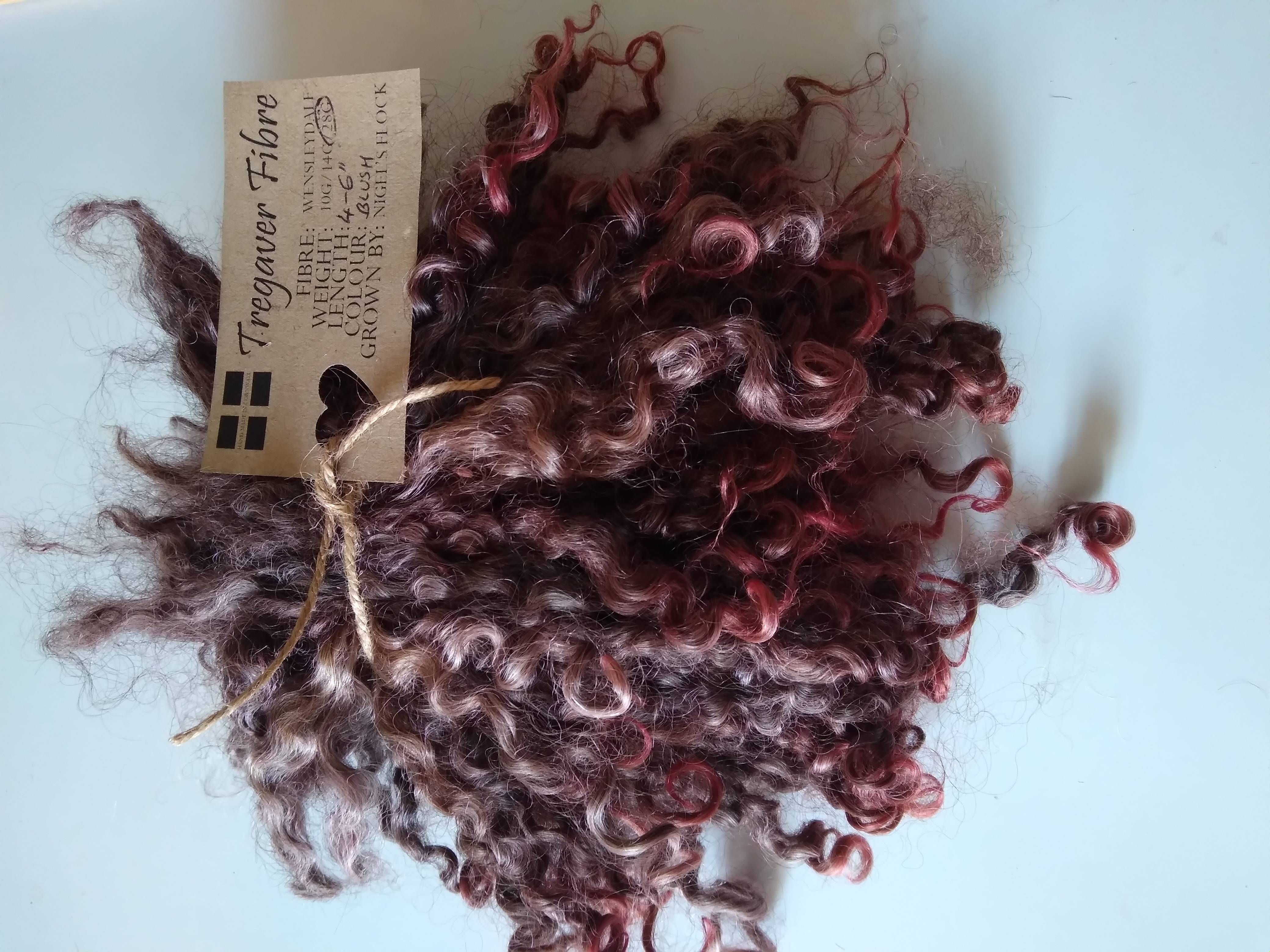 Blush, black/brown/red/pink curly wool, 28g, Wensleydale